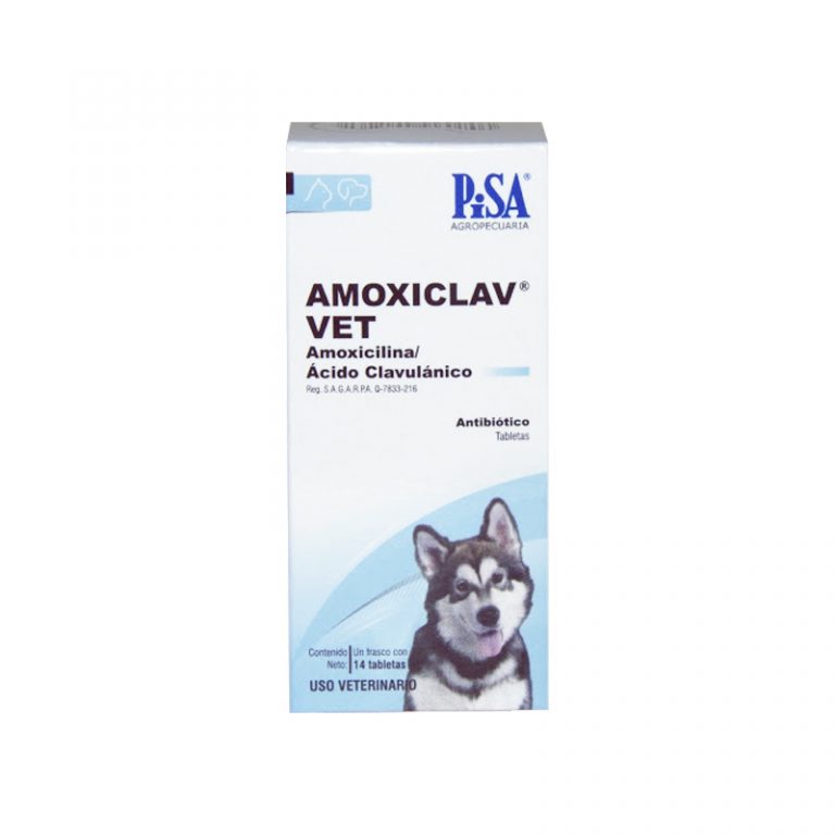 AMOXICLAV VET 125 MG C/14 TABS – Alevigo