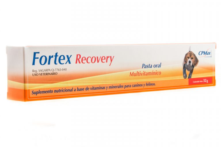FORTEX RECOVERY 32 G – Alevigo